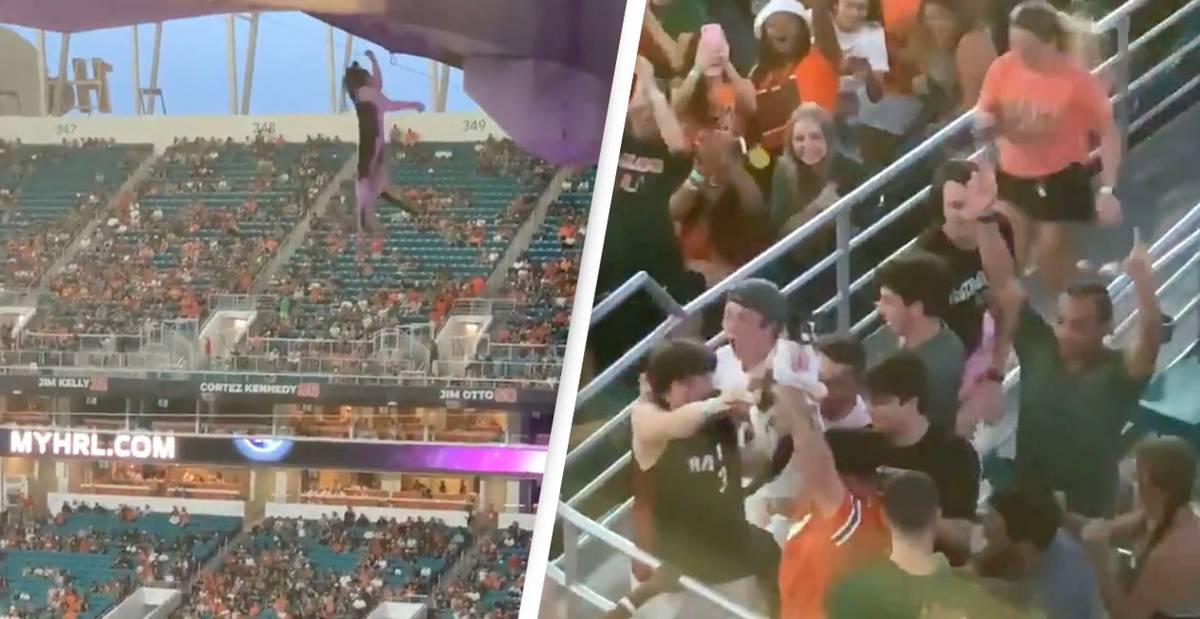 Spectators save cat falling from the upper story at US stadium