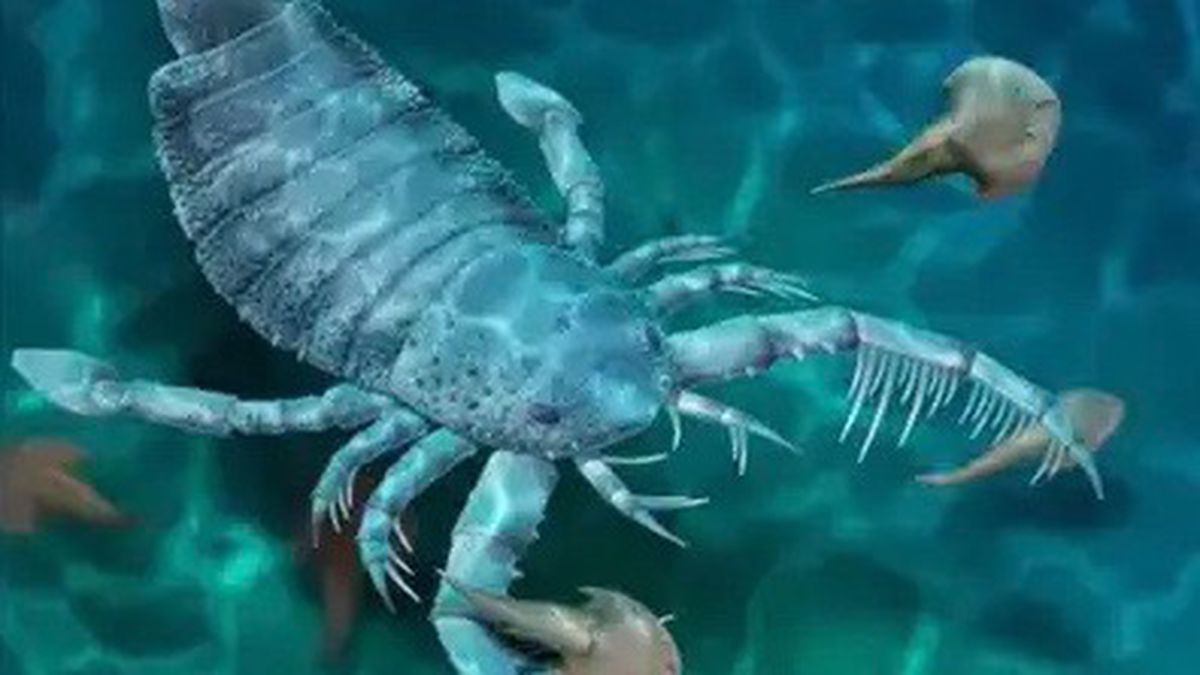 Fossil of dog-sized giant scorpion that lived 400 million years ago ...