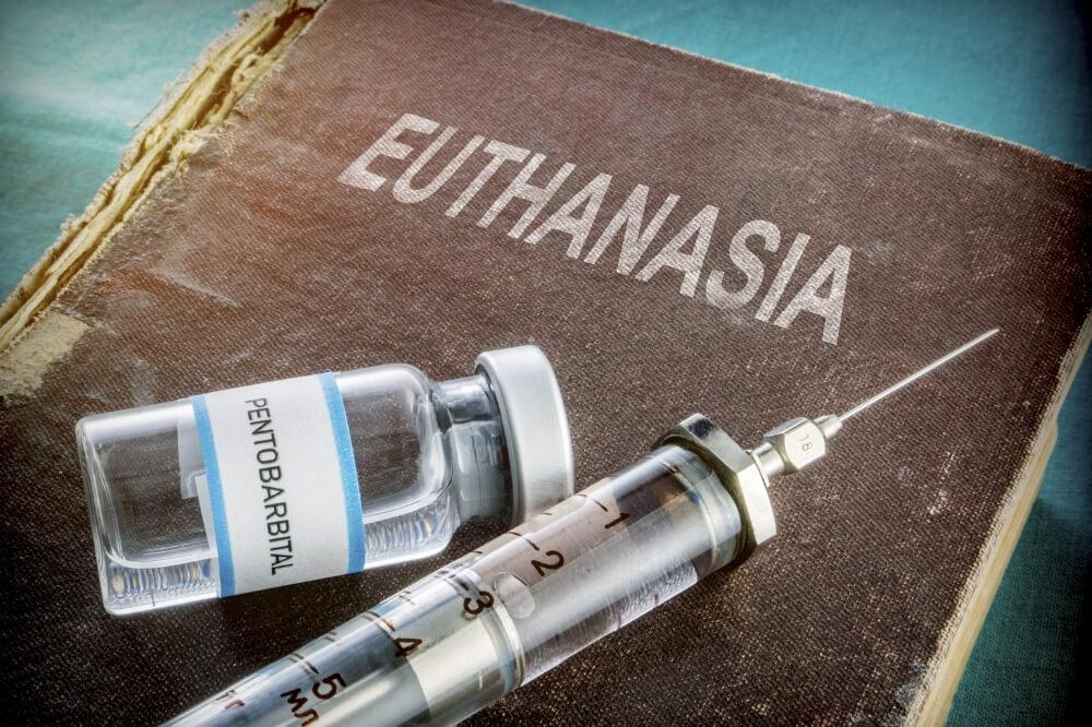 Italy: Constitutional court blocks euthanasia referendum