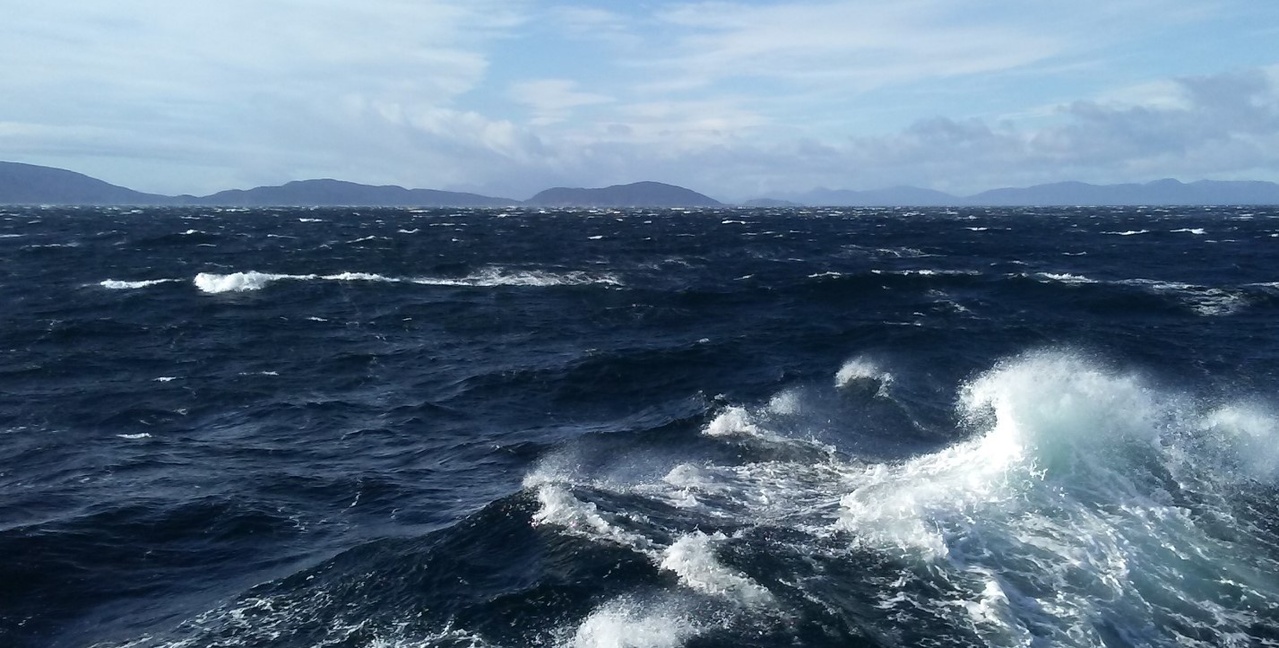 An ocean first: Underwater drone tracks CO2 in Alaska gulf