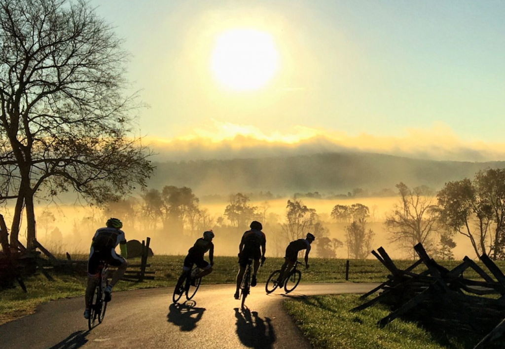 Following Dutch life and cycling daily can help the world save nearly ...