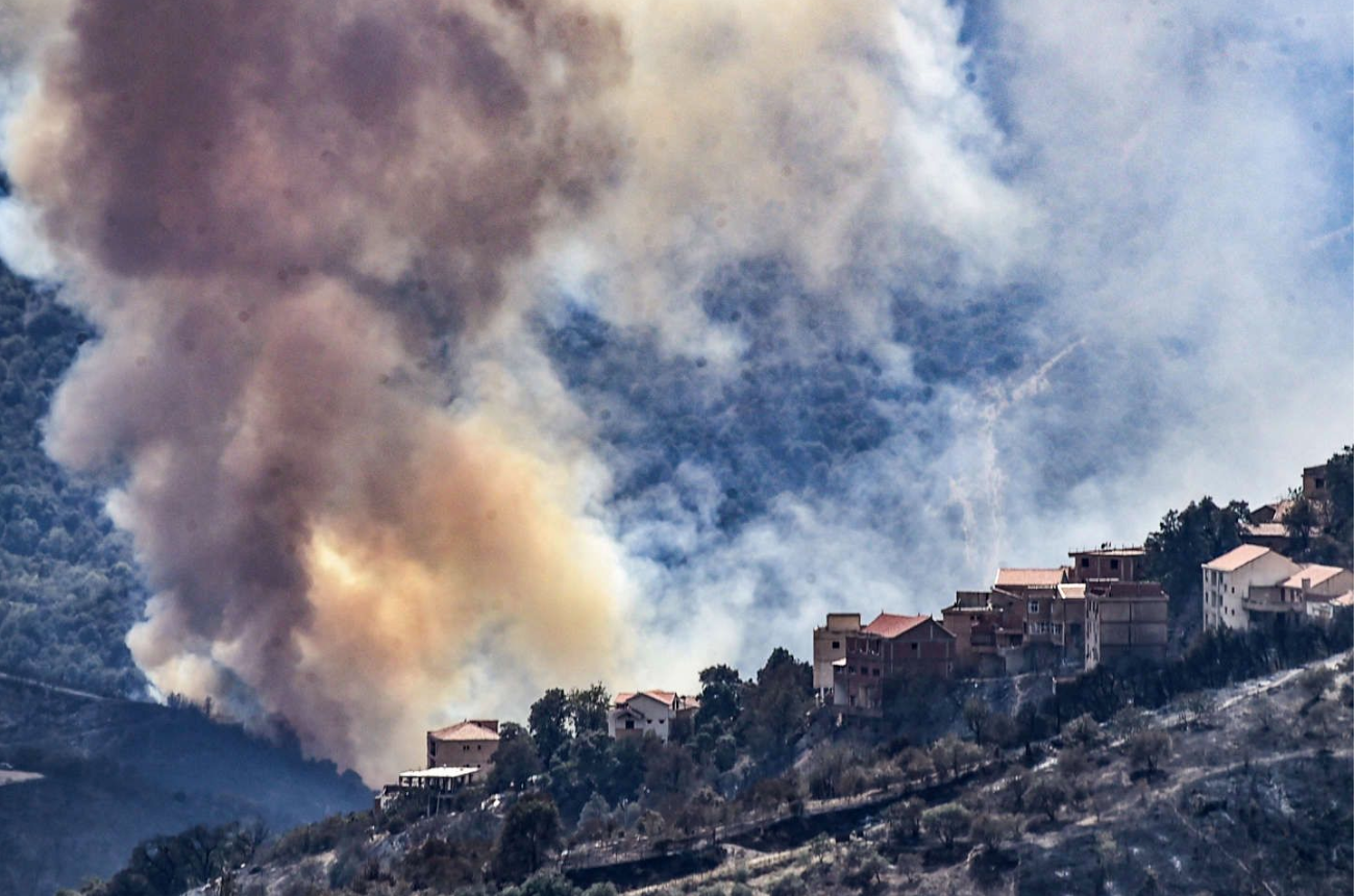 Algeria: 49 sentenced to death for mob killing amid wildfires ...