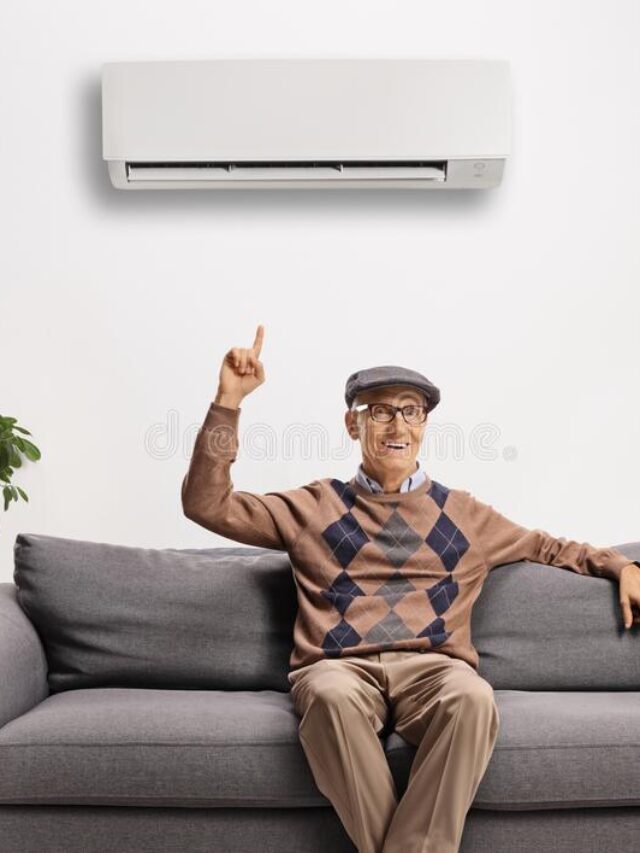 Our Top 10 Picks for the Best AC in India - BreezyScroll