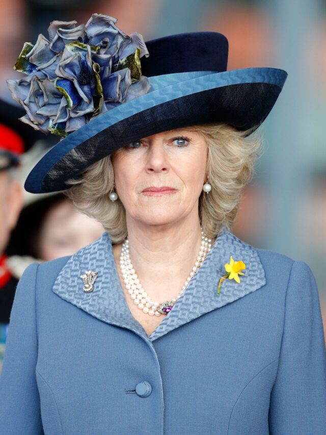 King Charles' Coronation: Facts About Queen Consort Camilla - BreezyScroll