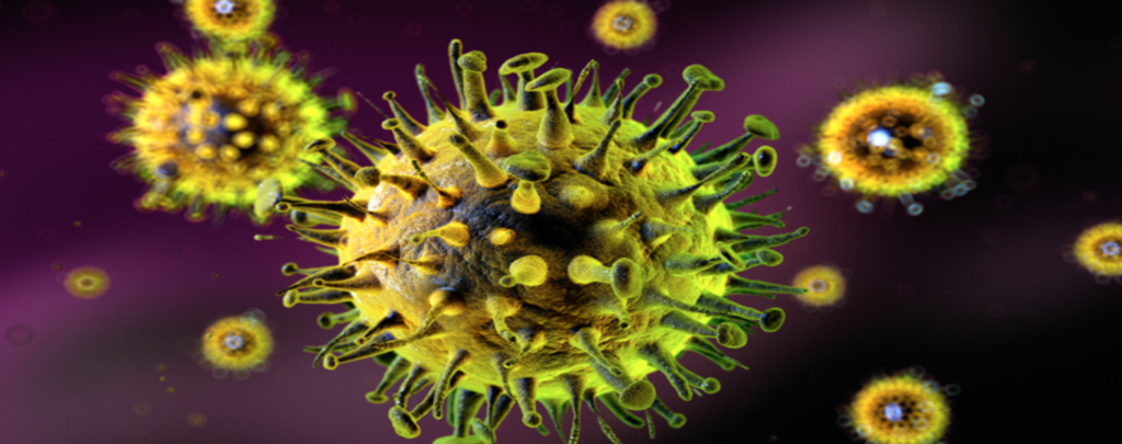 H5N1: New research shows that a devastating virus is one of the worst ...