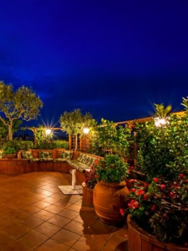 A Beginner’s Guide To Terrace Gardening! - BreezyScroll