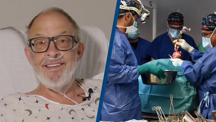 Pig heart transplant: Second recipient dies 40 days after the surgery ...