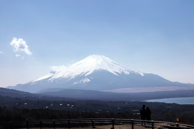 Japan town to install a large black barrier to block Mount Fuji view ...