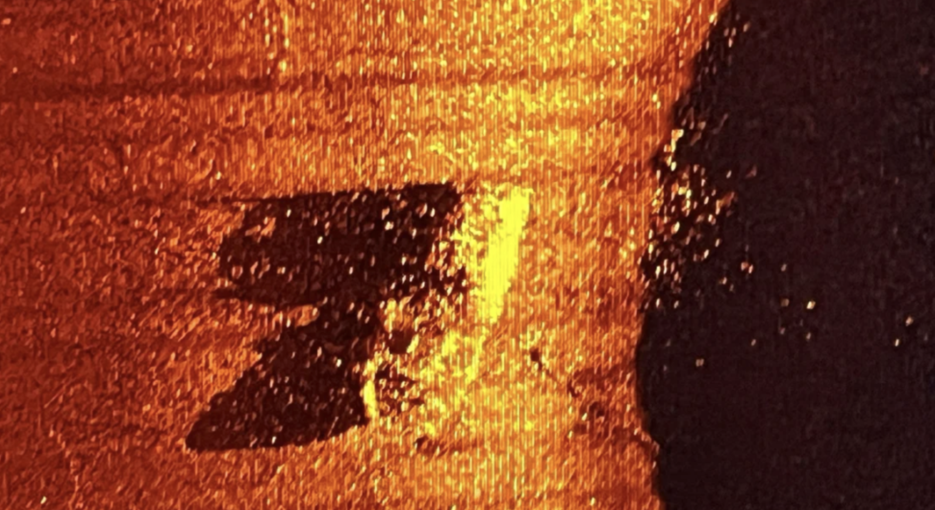 Wreck of famed explorer Ernest Shackleton's final expedition ship found ...