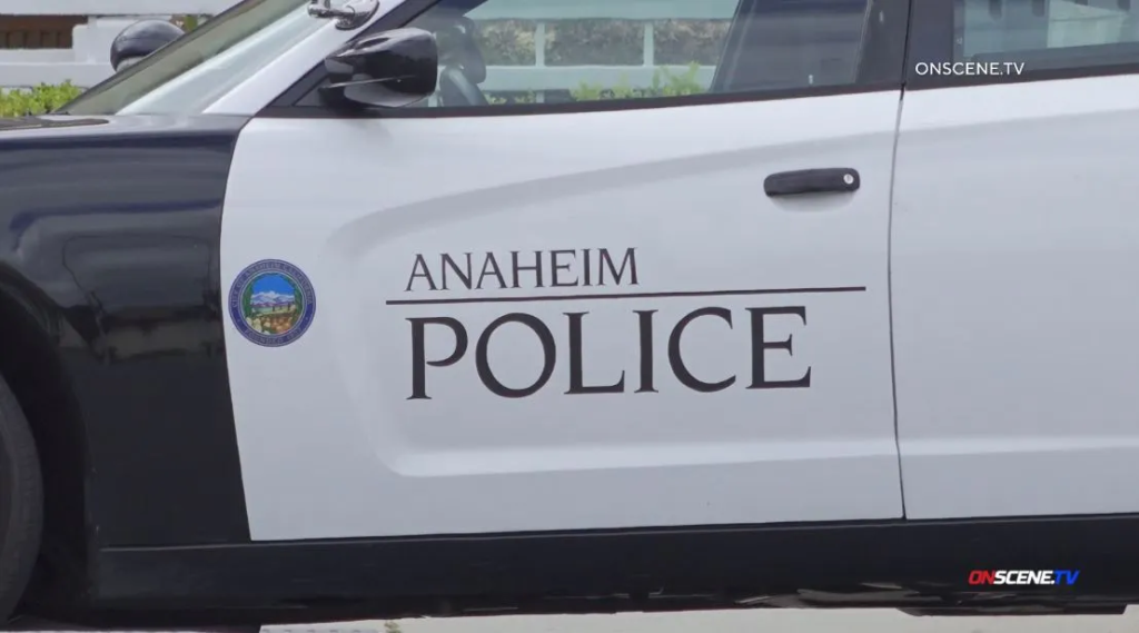 Teens arrested for posing as ICE agents to rob Hispanic people in ...