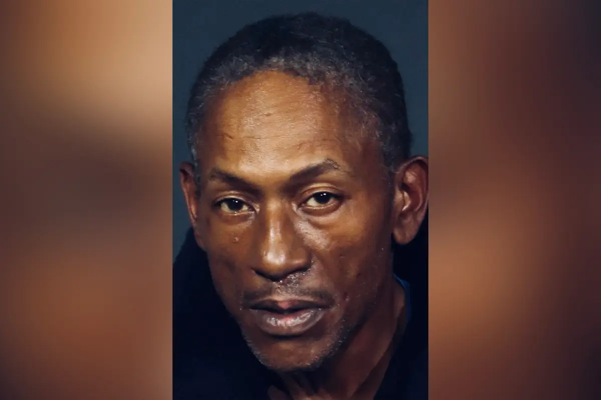 NYC pick-pocketer with over 60 arrests back on streets: Cops - BreezyScroll