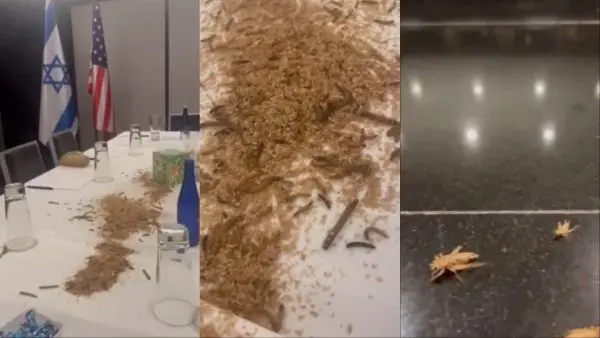 Pro-Palestine group releases insects and sets off fire alarms at ...
