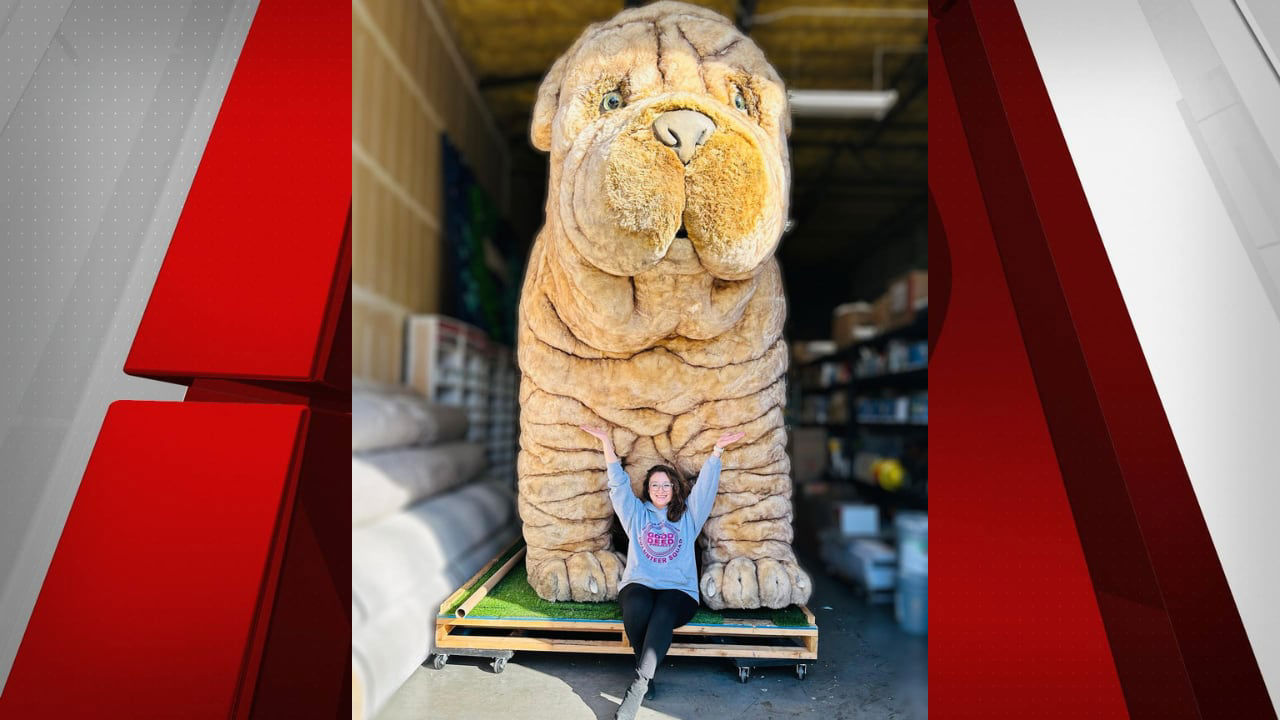 Las Vegas charity seeks justice after theft of beloved 700-pound ...