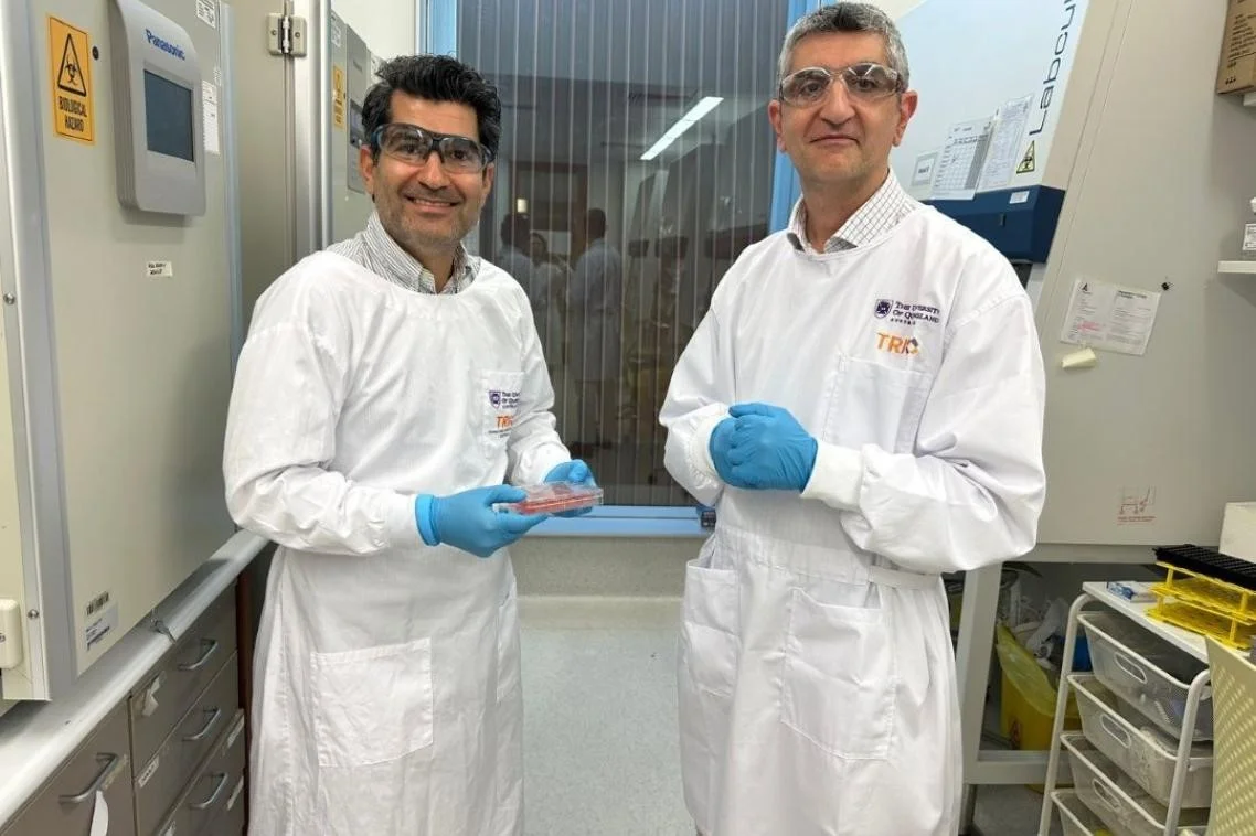 Scientists Grow World’s First Lab-Made Human Skin with Blood Vessels ...
