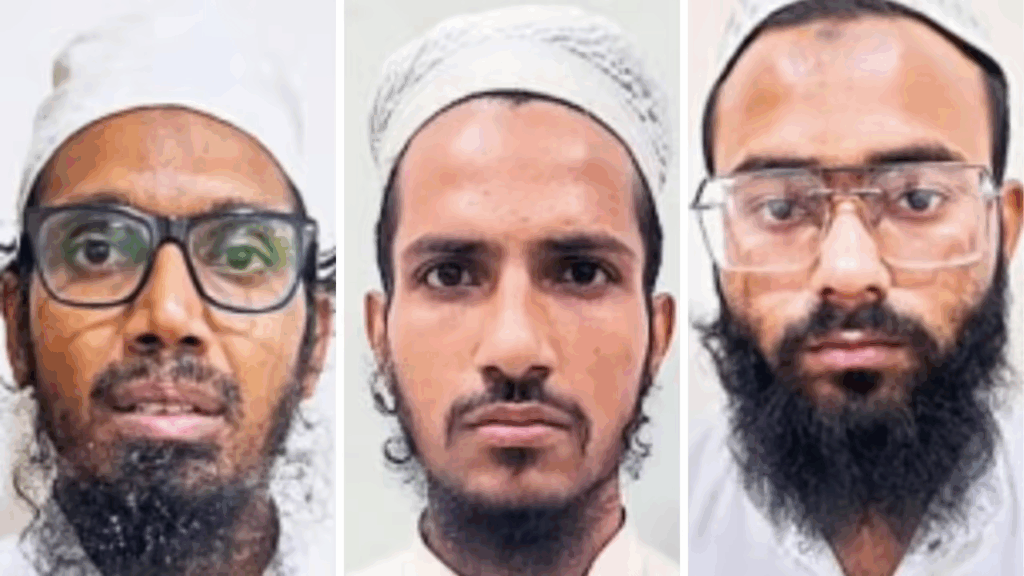 What Is Ricin, Its Symptoms, and Risks? The Deadly Poison Behind ...