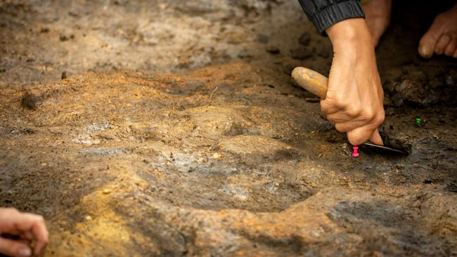 Oldest Known, 400,000-Year-Old Evidence Of Deliberate Fire Use Found in ...