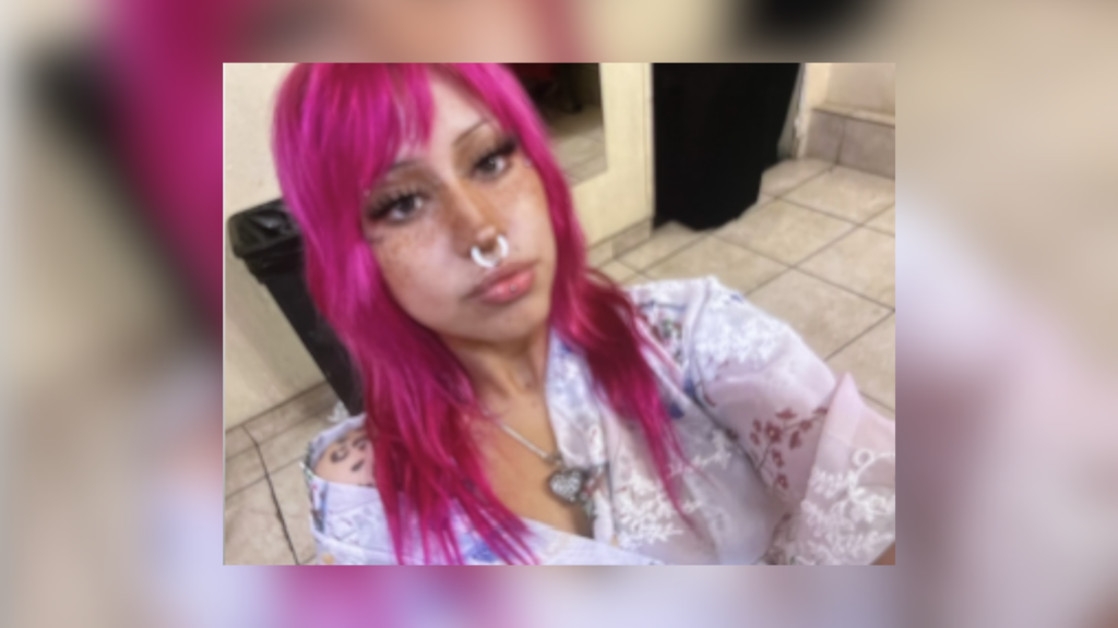 What Is a Turquoise Alert? Arizona Issues One for Missing Isabella Comas