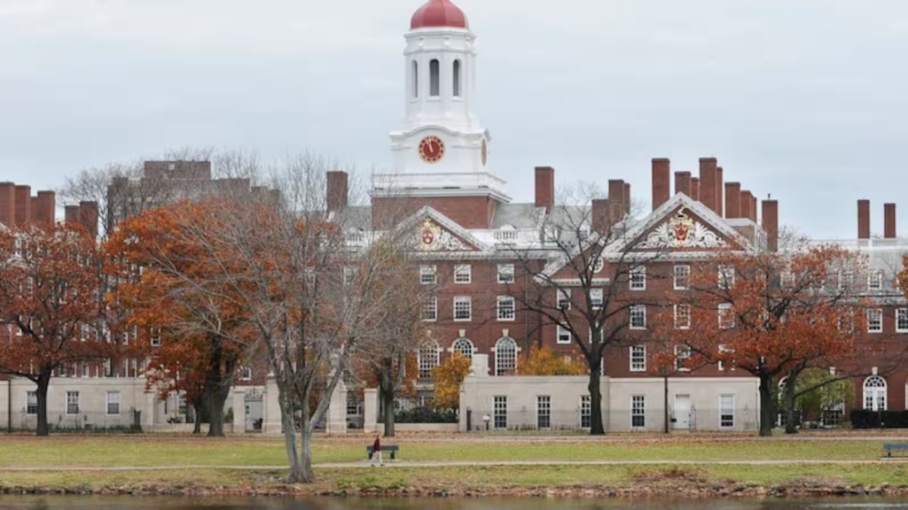 Harvard Student Claims Liberal Bias Is Forcing Conservatives to Avoid ...
