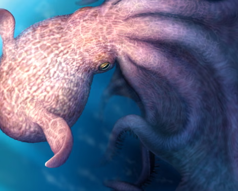 Scientists Find Octopus That Preyed on Dinosaurs 100 Million Years Ago