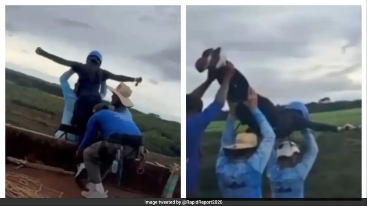Brazil Bungee Jumping Accident: 21-Year-Old May Have Been Alive After ...